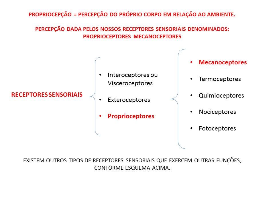 Propriocepção = Percepção do próprio corpo | by Autista Sem Barreiras ...