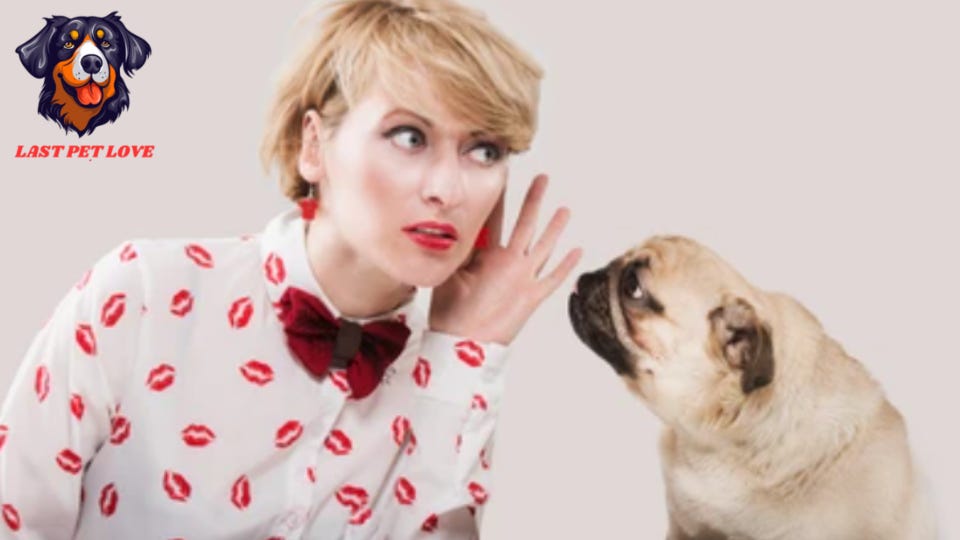 Funny Sayings About Dogs: Unleashing Canine Comedy | by Siddiksardar ...