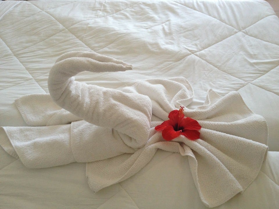 Backbone Housekeeping: The back of the house hero of the Hospitality ...