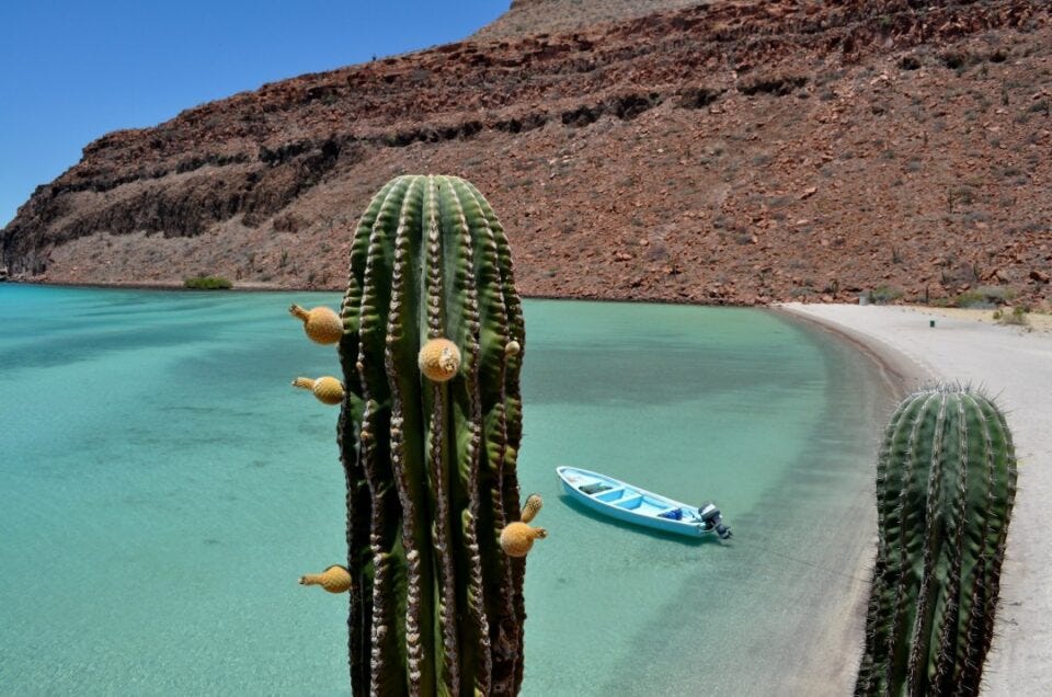 7 Beautiful Beaches in Baja California You Don’t Want to Miss! - Vibe ...