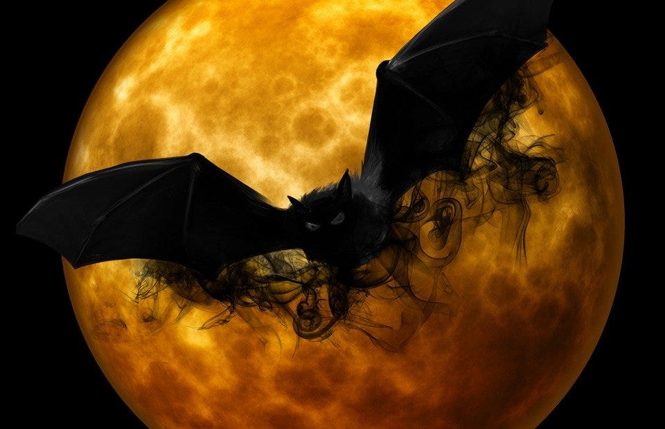 The Bat Immune System Makes Viruses Stronger | by Shin Jie Yong ...
