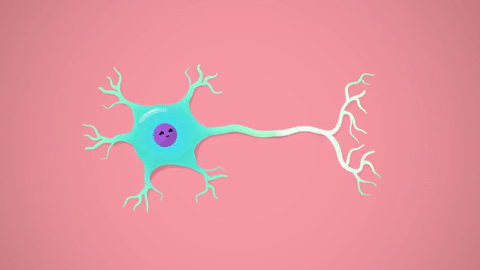 Cute Animated Gifs Tumblr