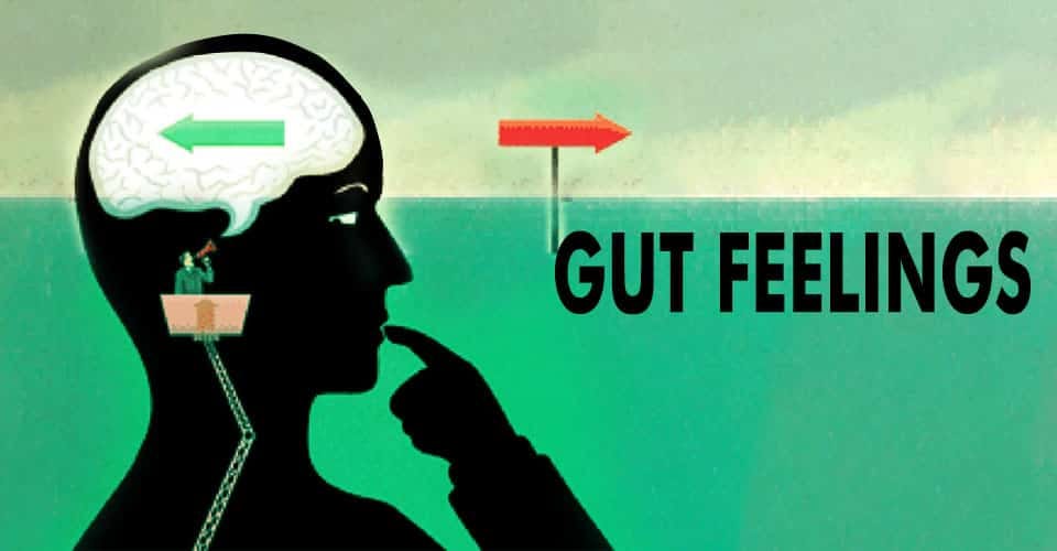 Enhance Your Brainpower By Nurturing Your Gut | by Pradeep Bhatt | What ...
