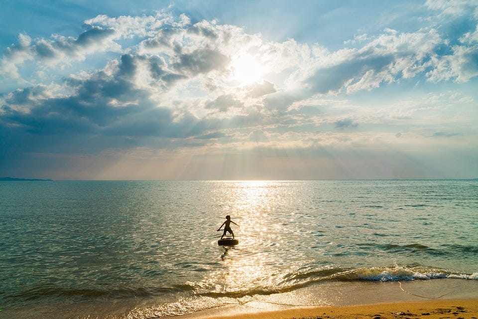 The Science of Motivation: Understanding What Drives Human Behavior ...