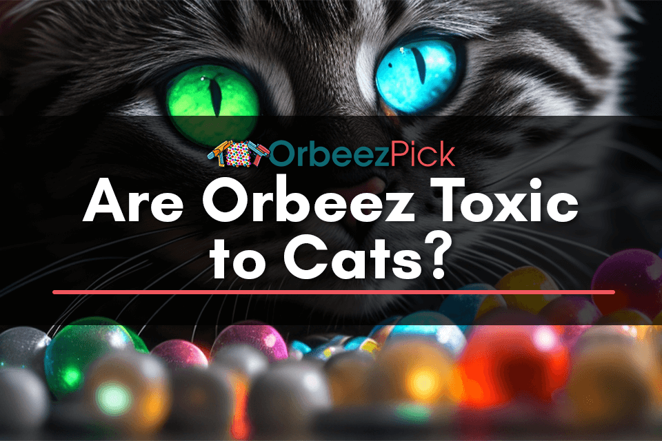 Are Orbeez Toxic to Cats? [2023] | by OrbeezPick | Jul, 2023 | Medium