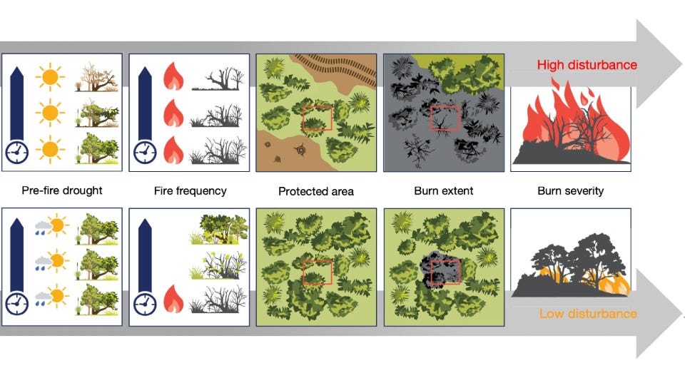 Droughts and lack of protected status have worsened the damage caused ...