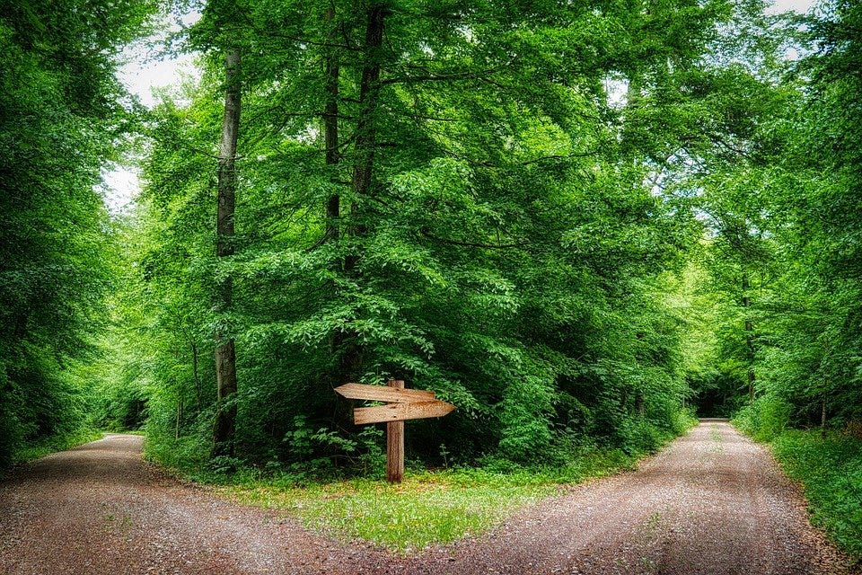 An Introduction To Decision Trees and Predictive Analytics | by Ben ...