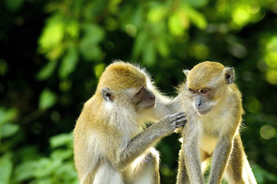 Why You Need To Stop Trying So Hard for Someone To Care About You | by ...