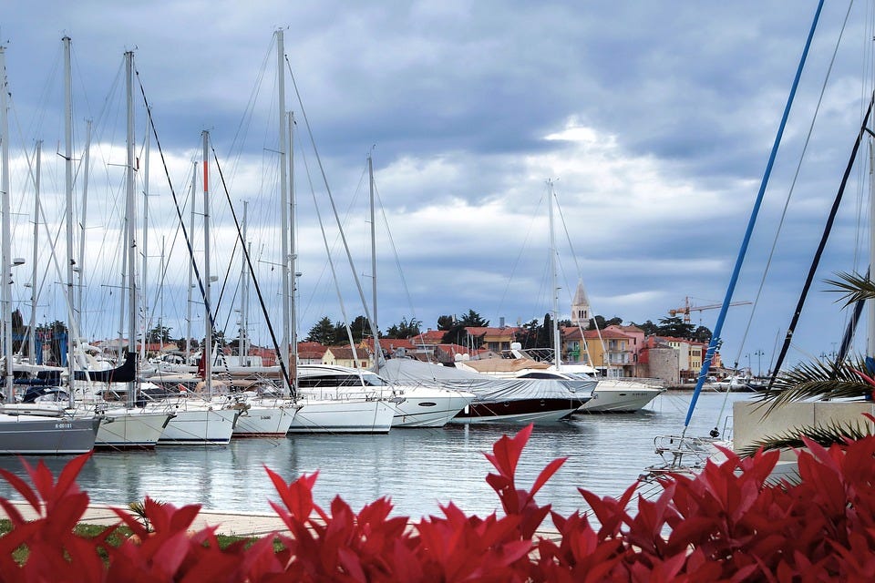 The Benefits of Keeping Plants in a Boat’s Cabin | by Canobolas Marine ...