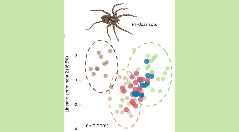 Spiders and voles reveal carbon emissions from permafrost in Alaska | by Yury Erofeev | Medium