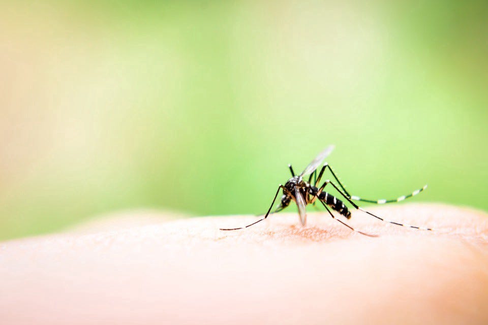 Diminishing the Dengue Danger: Predicting future dengue outbreaks using ...