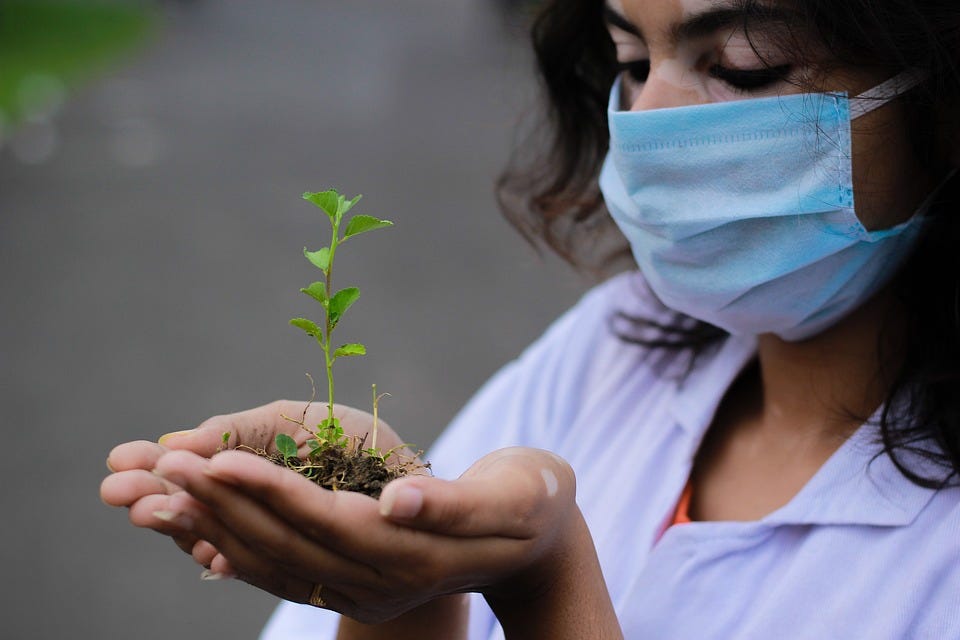 The Top 5 Indicators Every Social Impact Organization Should Track | by ...
