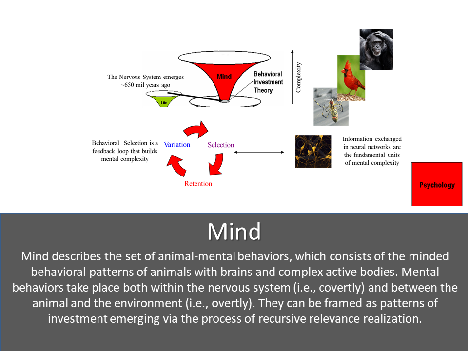 10 Key Words in UTOK Psychology. This blog explains how UTOK defines ...