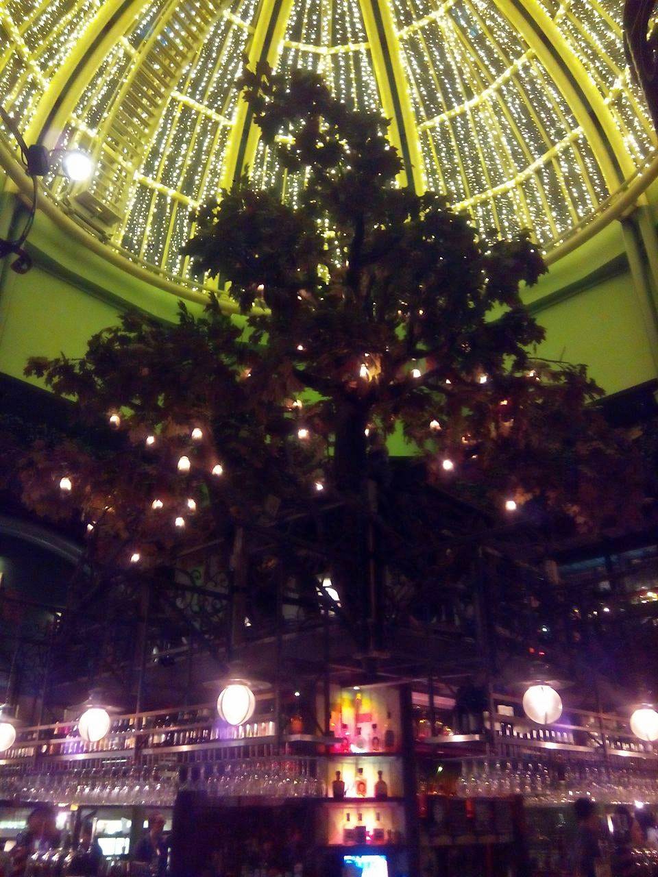 #62: The Tree in the Restaurant. Entering through an unassuming green ...