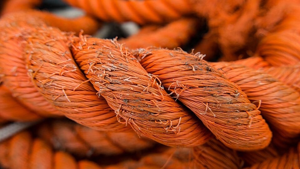 Give Him Enough Rope: Why Truth Still Matters in Leadership | by Pghale ...