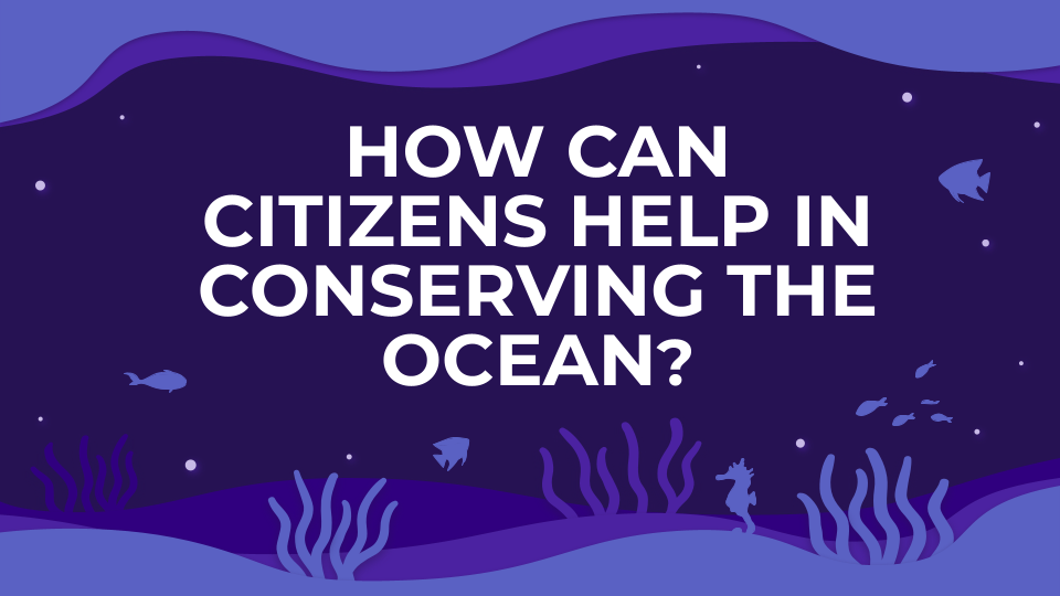 Conserving the Ocean - Delna Thomas - Medium