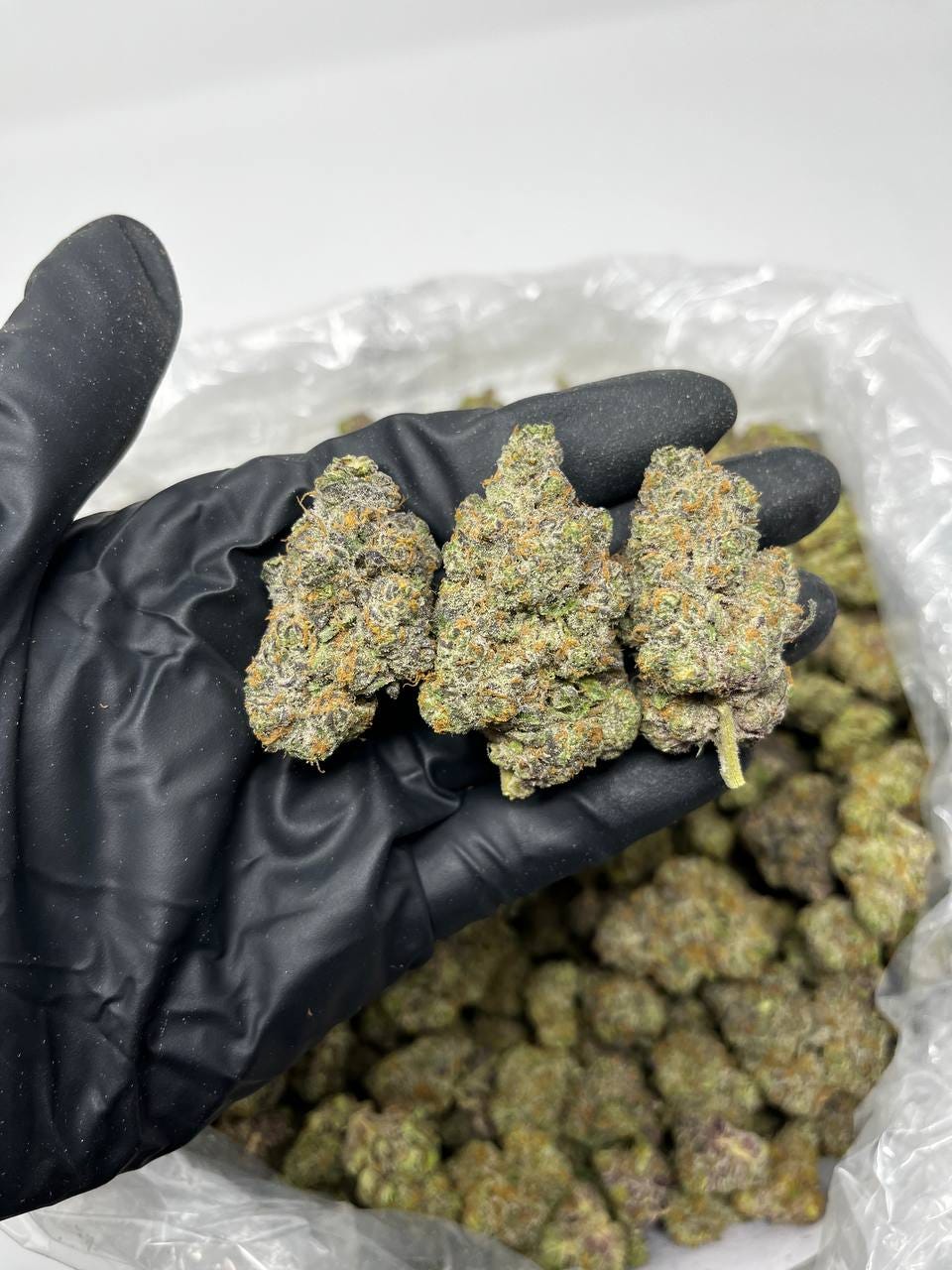 Skywalker OG - Med Cannabis - Medium