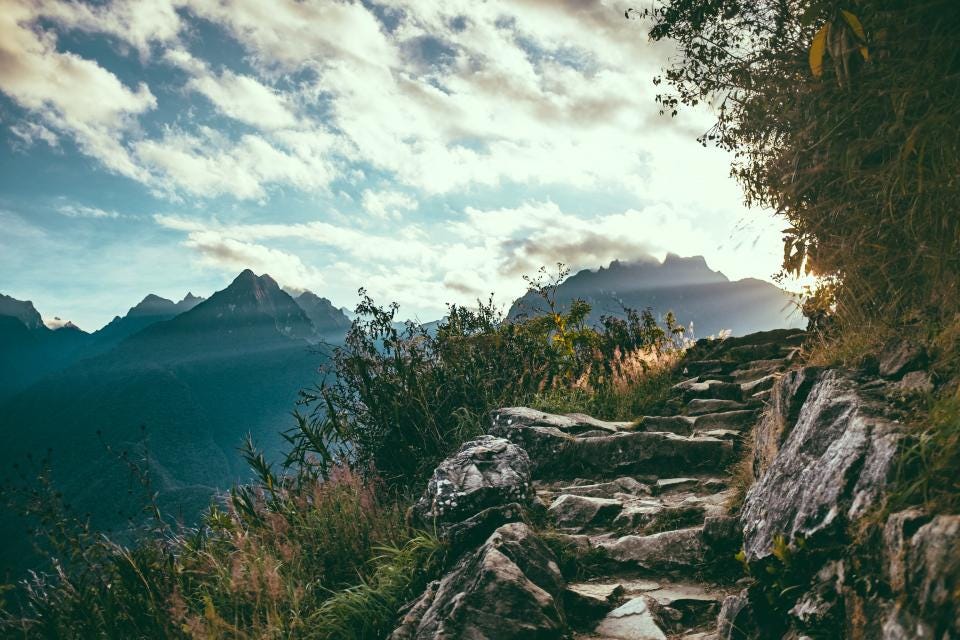 A step into the unknown. This is the first in a series of blogs… | by ...