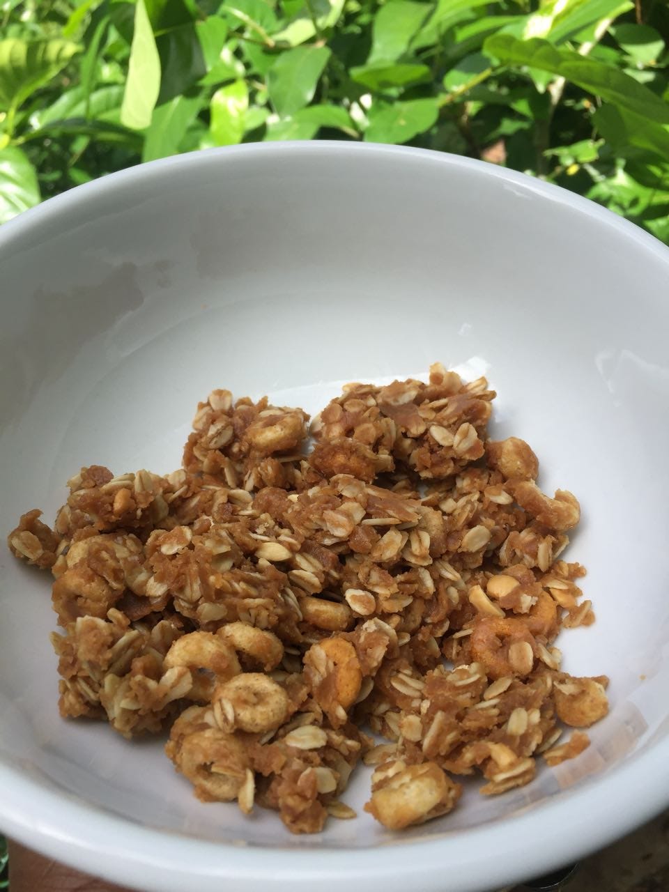 Gluten-Free Snacking:Toasted Oats and Peanut Butter Clusters. | by ...