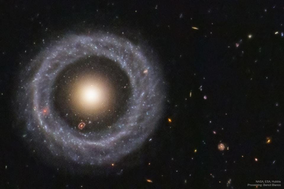 rarest thing in the Universe. What is the rarest thing in the… | by ...