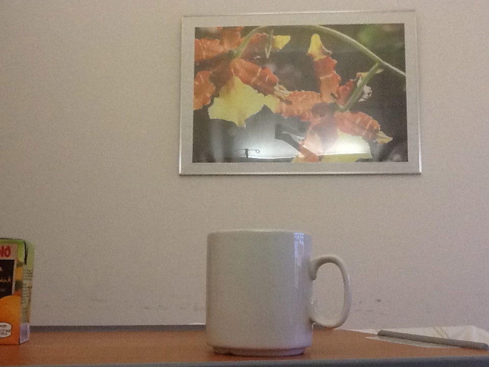 My Amazing Body. Warning: This post is full of stuff… | by Tiana Dodson | Medium