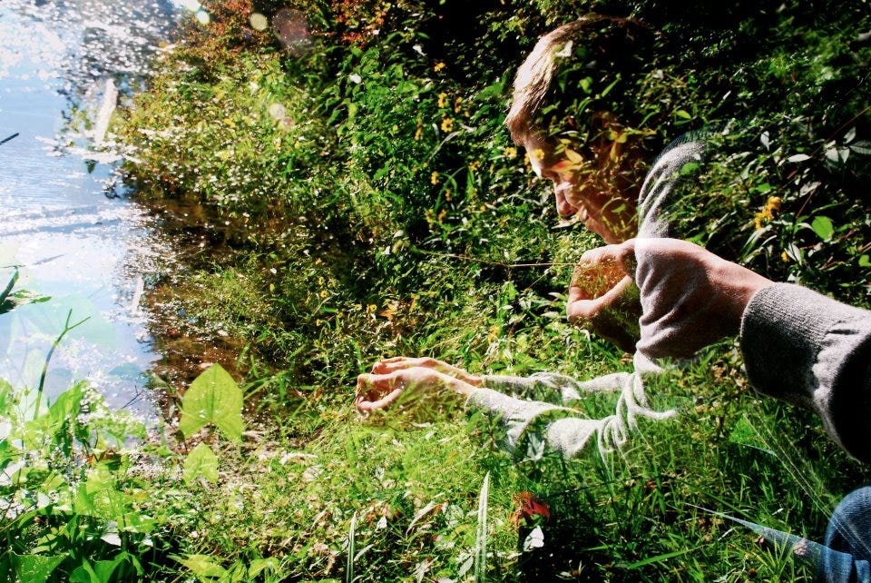 Someone else’s home movies. On Blithe Field’s album, Warm Blood | by ...