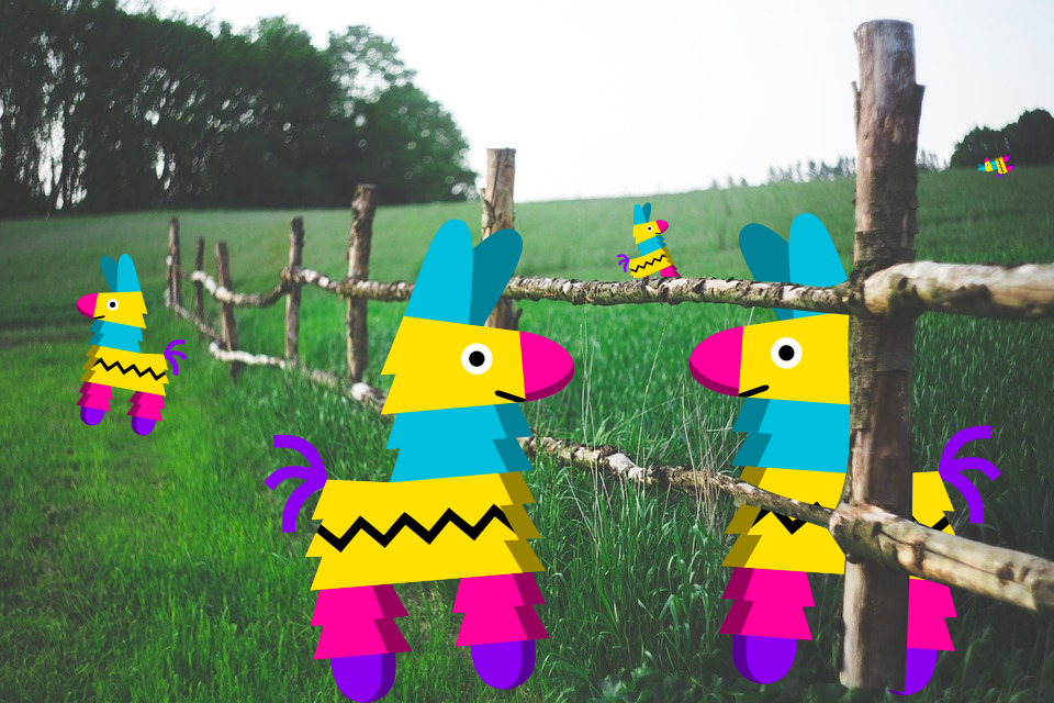 How to pin to IPFS effortlessly. Using Pinata’s API as an IPFS pinning… | by Matt Ober | Pinata ...