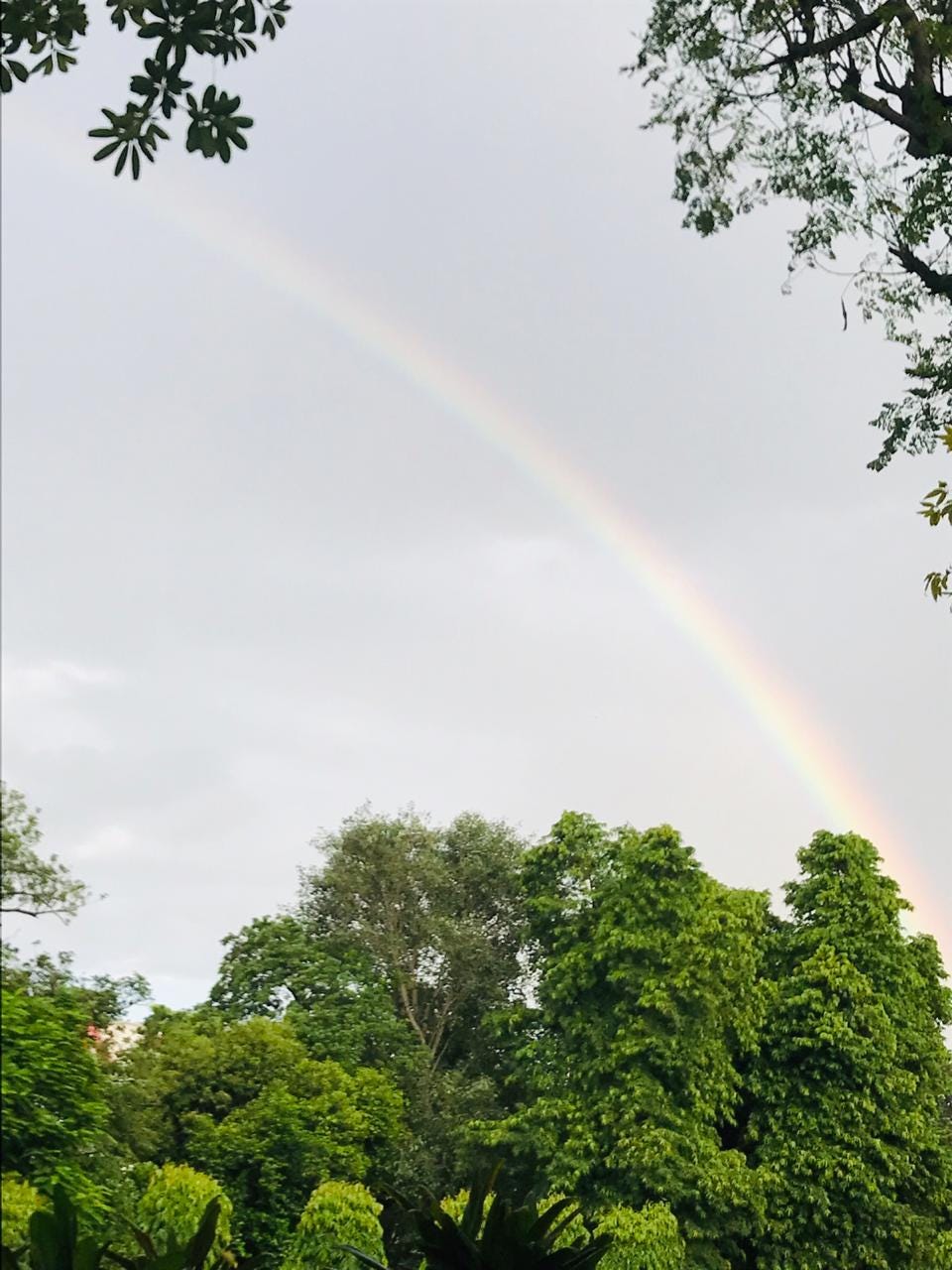 A Rainbow Brings Magic To Our Life | by Dr. Preeti Singh | Reciprocal ...