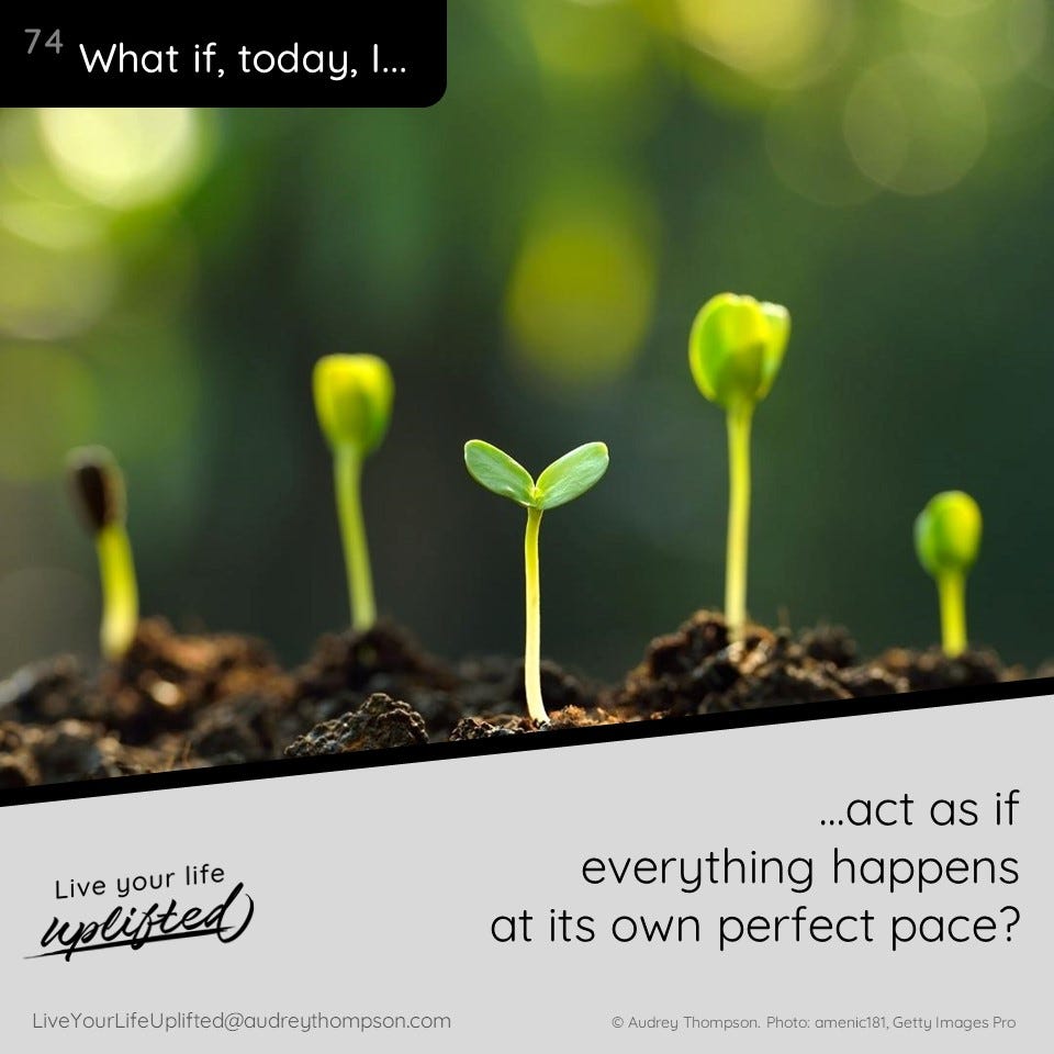 What if today I act as if all happens at the perfect pace? by Audrey ...