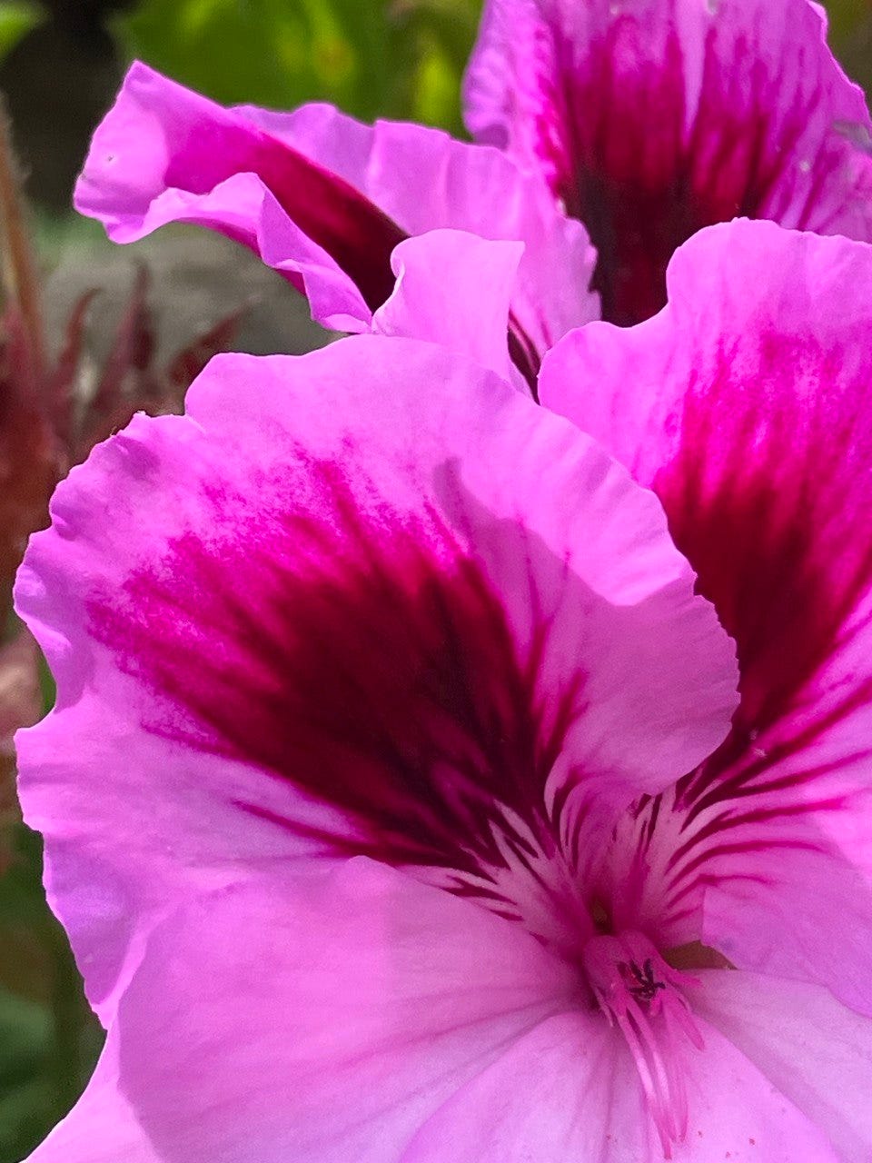 Fast Feet Feeling. Fast running feet taking me around the… | by Zozan ...