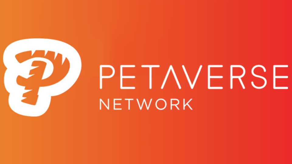 Meet Petaverse Network. Hello World! | by Petaverse Network | Medium