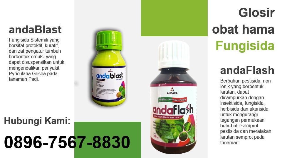 Glosir obat hama Fungisida di Sumenep | by Bimbingan Kerja Pengusaha ...