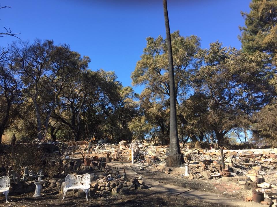 REFLECTING ON THE ATLAS FIRE: FIVE YEARS LATER | by Kristine de ...