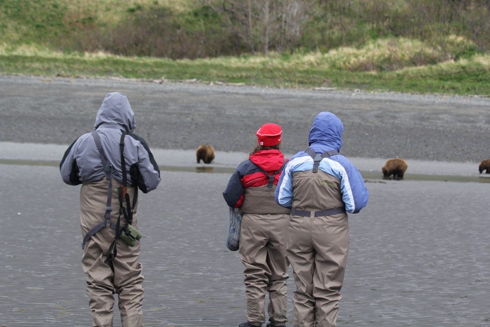 Visit Katmai National Park’s to Enjoy Fat Bear Week in Fall | by Bear ...
