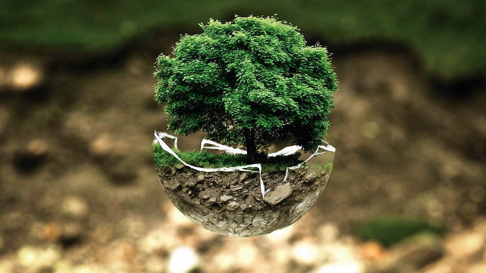 Achieving Emotional Balance in a Chaotic World | by Mónica Esgueva ...