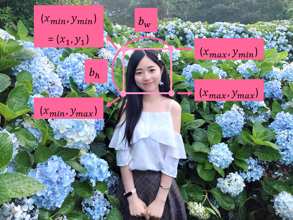 如何轉換為Yolo txt格式. Yolo 訓練的 label bndBox 格式是 txt… | by 李謦伊 | 謦伊的閱讀筆記 | Medium