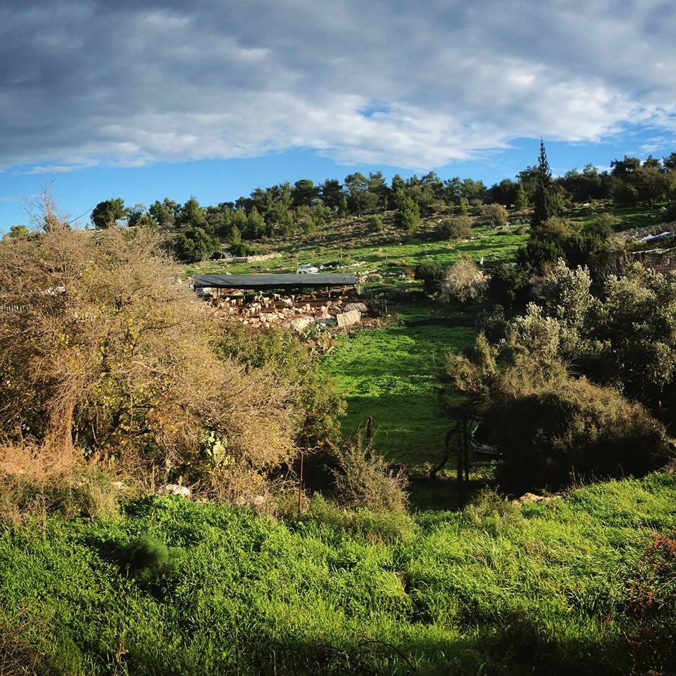 8 Crazy Nights. Chanukah in Israel is such a magical… | by Anna Frenkel ...