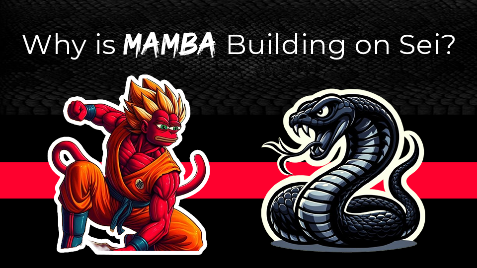 Why is Mamba Building on Sei? 🔴🐍 | by Mamba DeFi | Mar, 2024 | Medium