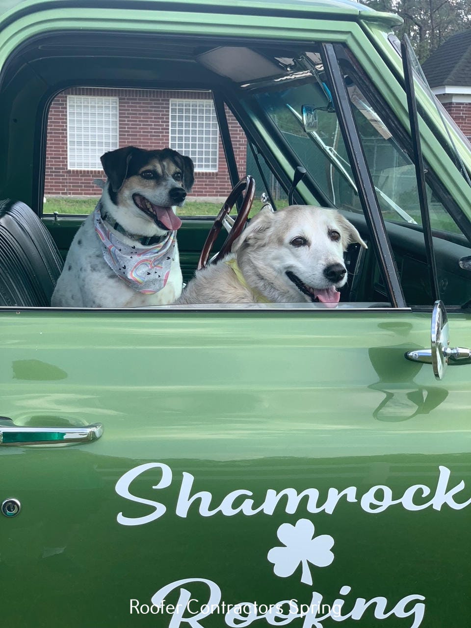 Shamrock Roofing of Spring Texas - SEO SERVICE - Medium