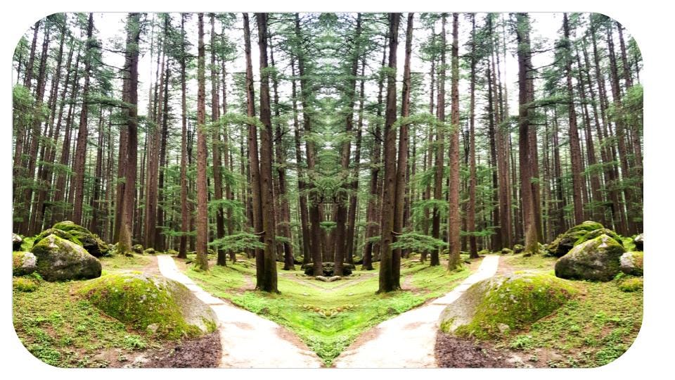 A short manifest on management in the tech industry | by Yevgeni ...