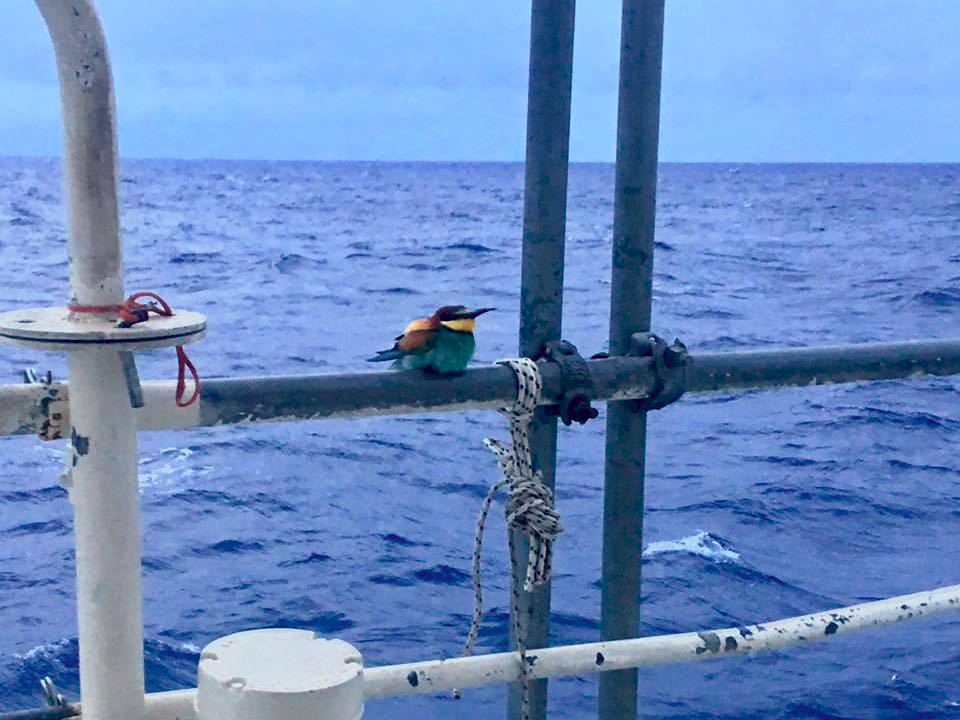 AYS DAILY DIGEST 14/05/2017: Germany and Italy want to stop refugees at Libya’s southern border ...