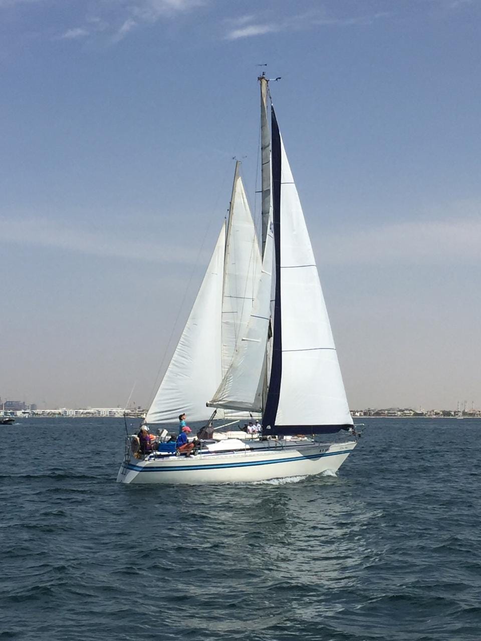 Sailing is dying. The business case for slowing the death… | by Bébhinn ...