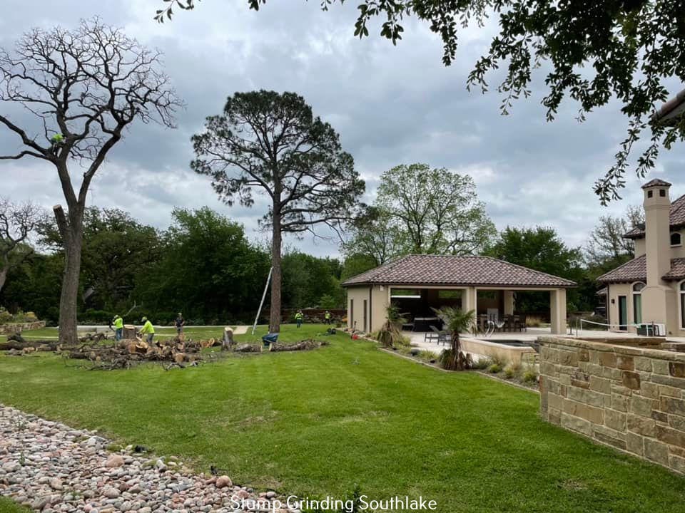 ArborTech Tree Service - Rafiul shuvo - Medium