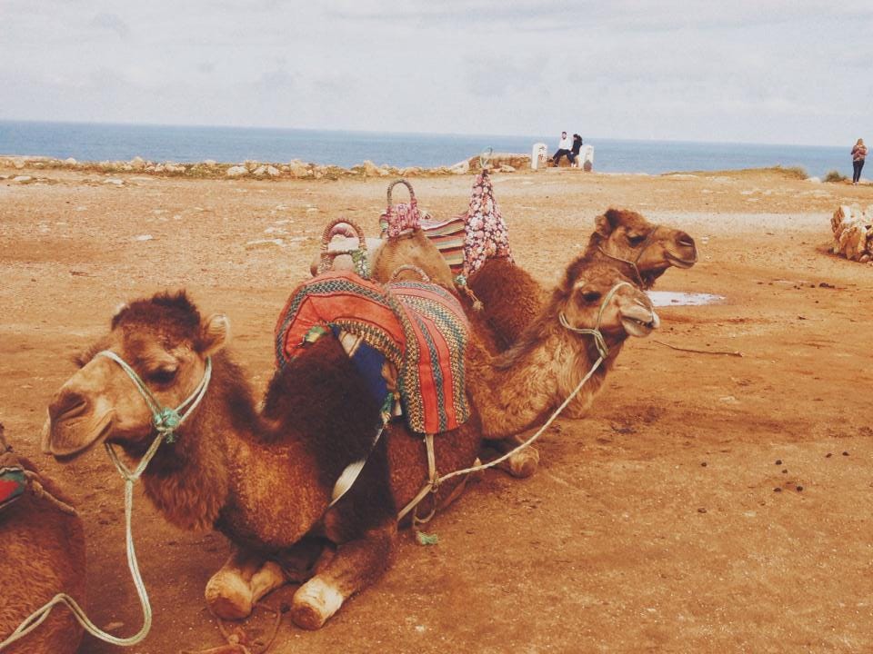 Weekend in Morocco! | by Ale | Ale goes to España! | Medium