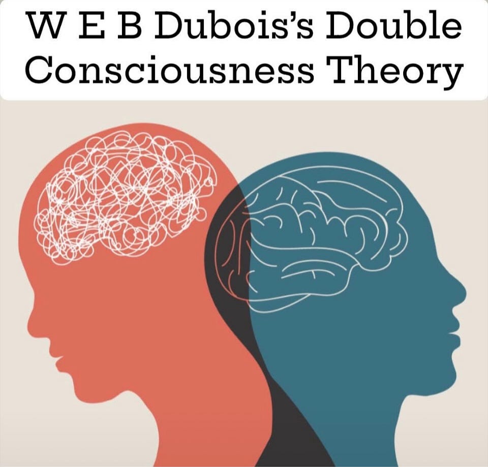 Reflections in a Broken Mirror: Double Consciousness, Mirror Neurons ...