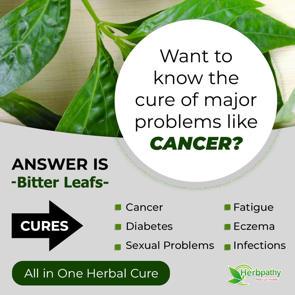 Some Shocking Uses and Benefits of Bitter Leaf for Our Health | by ...