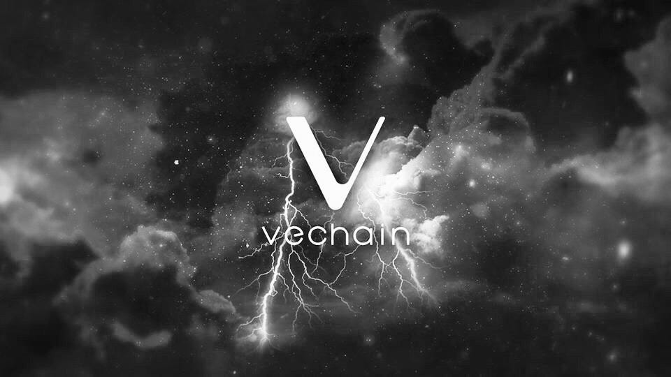 Supply Chain & The Blockchain:. The first big bubble has popped… | by ...