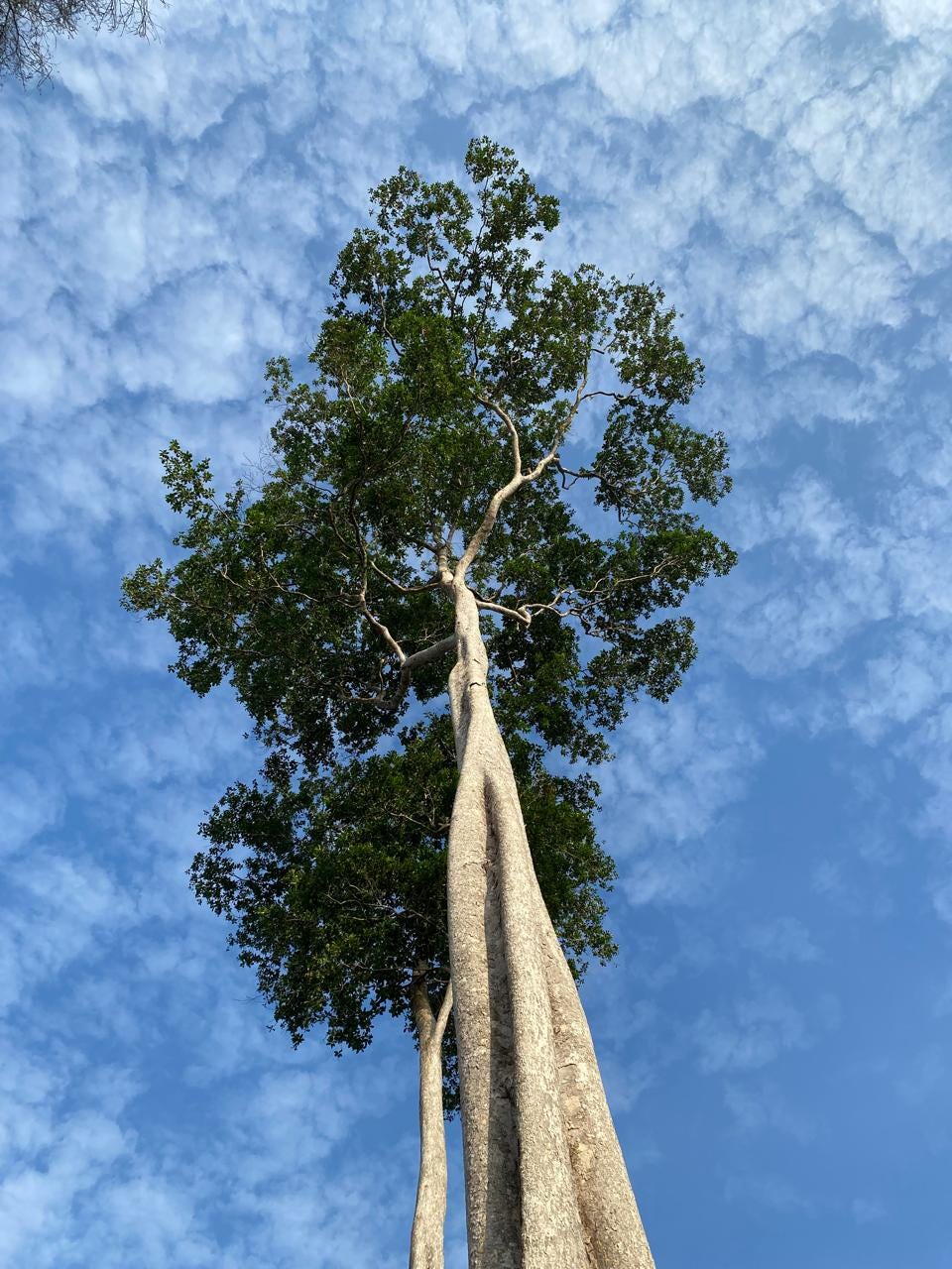 Reflections on the Last Day of 2024: Growth, Challenges, and Gratitude ...