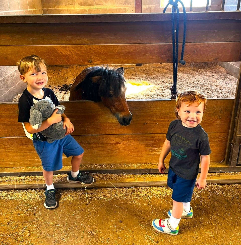 Hudson’s Story: A Toddler’s Tale. Two boys visit for Thanksgiving: | by ...