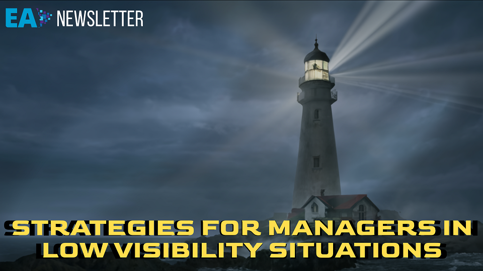 Strategies for Managers in Low Visibility Situations | by Erich R ...
